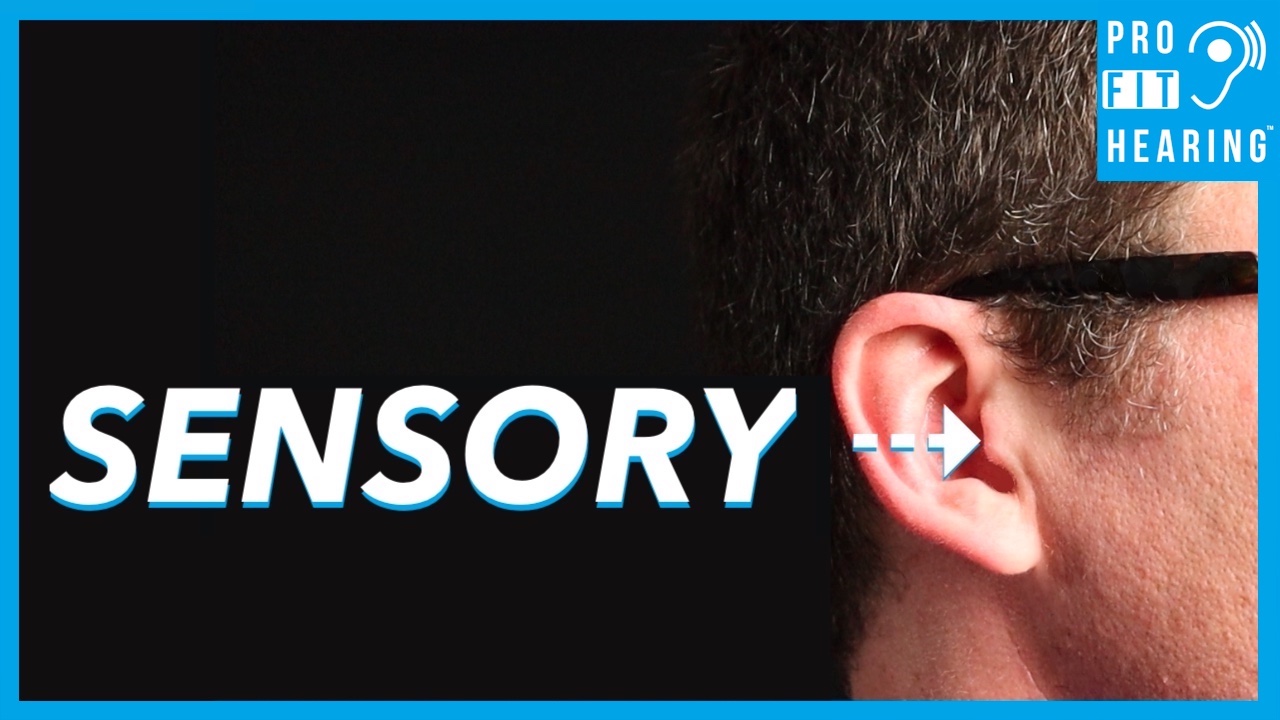Sensorineural Hearing Loss And The Inner Ear Pro Fit Hearing